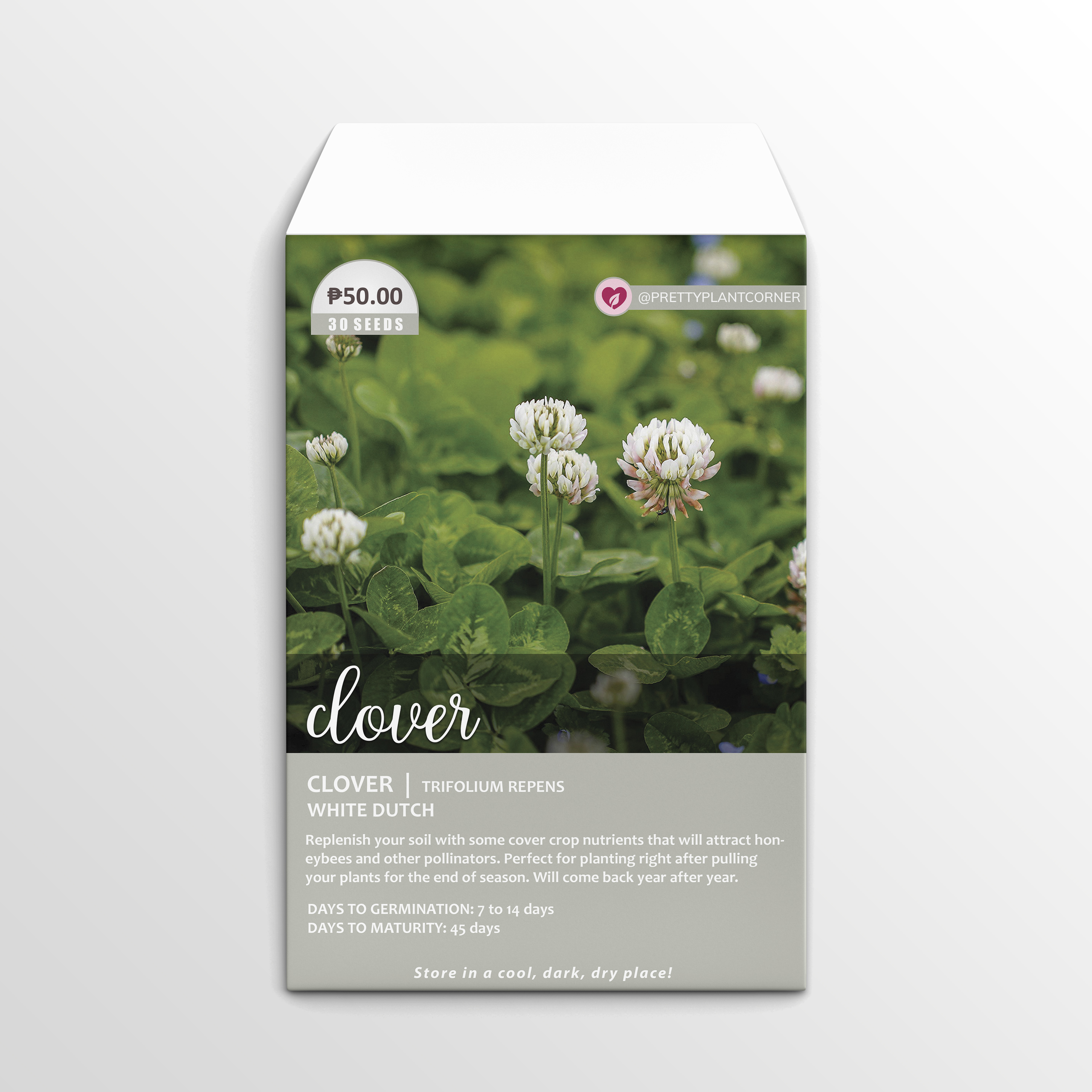 White Dutch Clover Seeds | Lazada PH