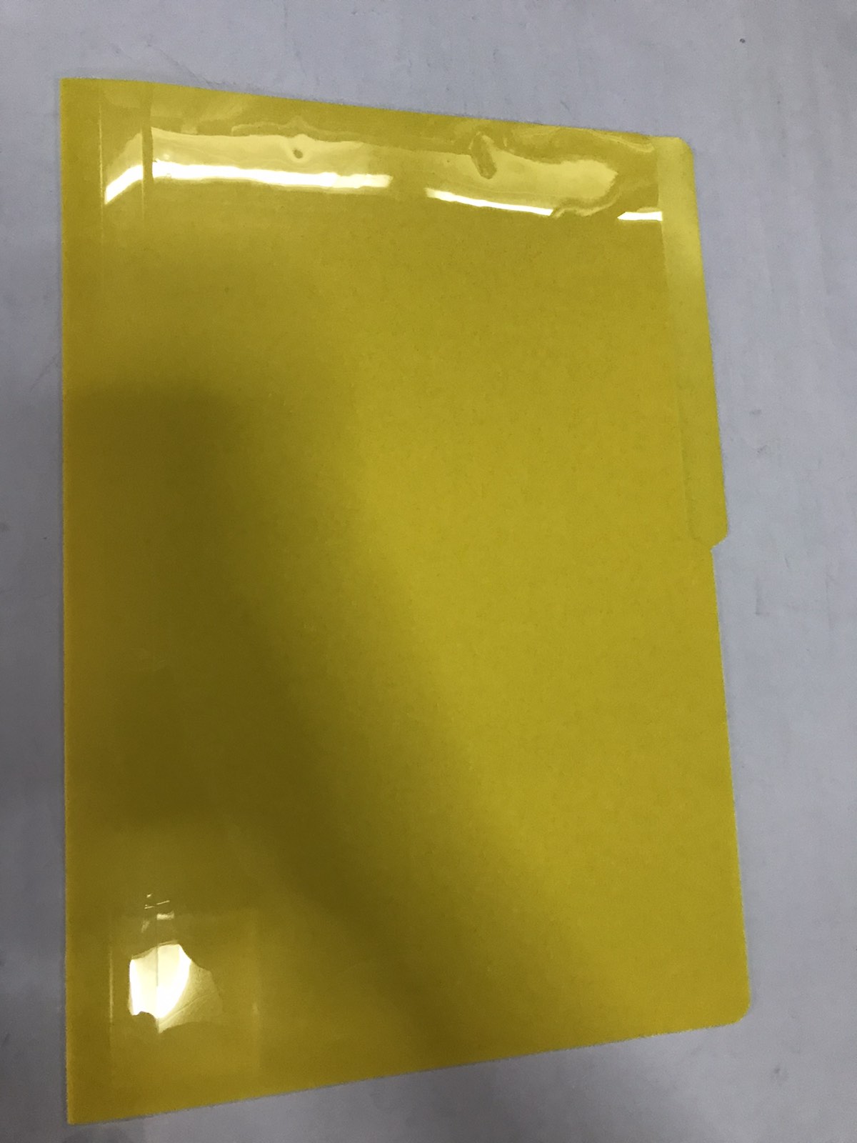 Plastic Glossy Opaque Folder Long 12's | Lazada PH