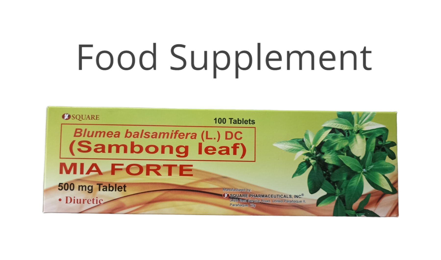Mia Forte Sambong Leaf 500mg Tablet by 100's | Lazada PH