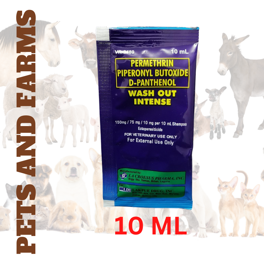 WASH OUT INTENSE BIRD SHAMPOO 10ML | Lazada PH