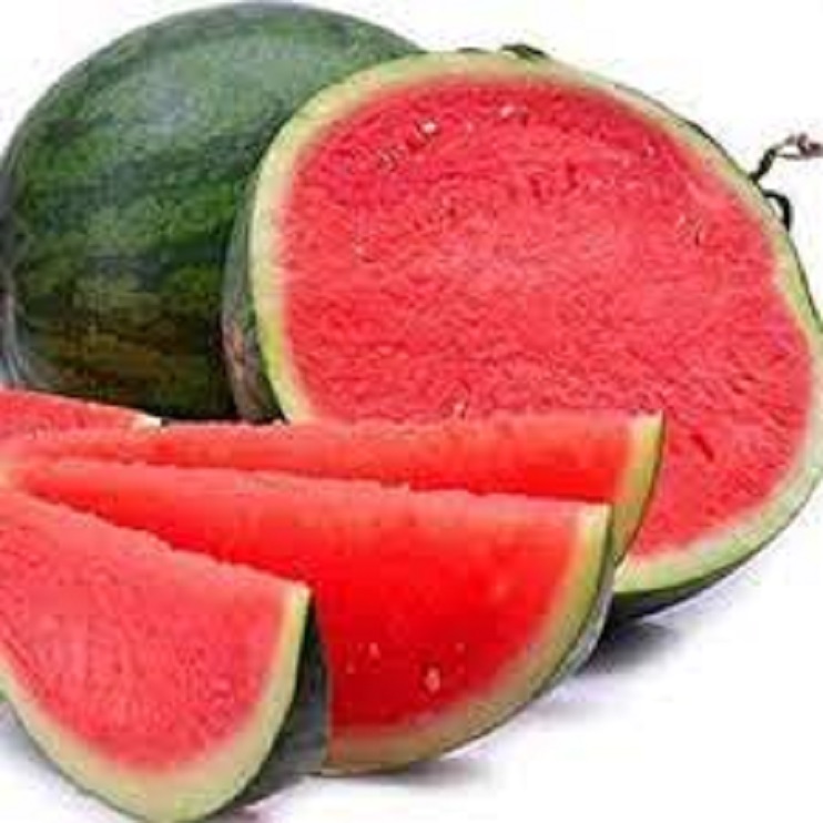PAKWAN SEED`S "WATERMELON" (SUGAR BABY) SEEDLESS | Lazada PH