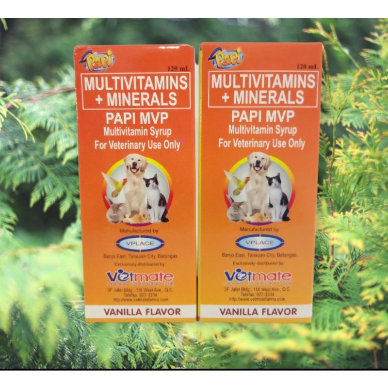 PAPI MVP ( MULTIVITAMINS SYRUP ) 120ml | Lazada PH