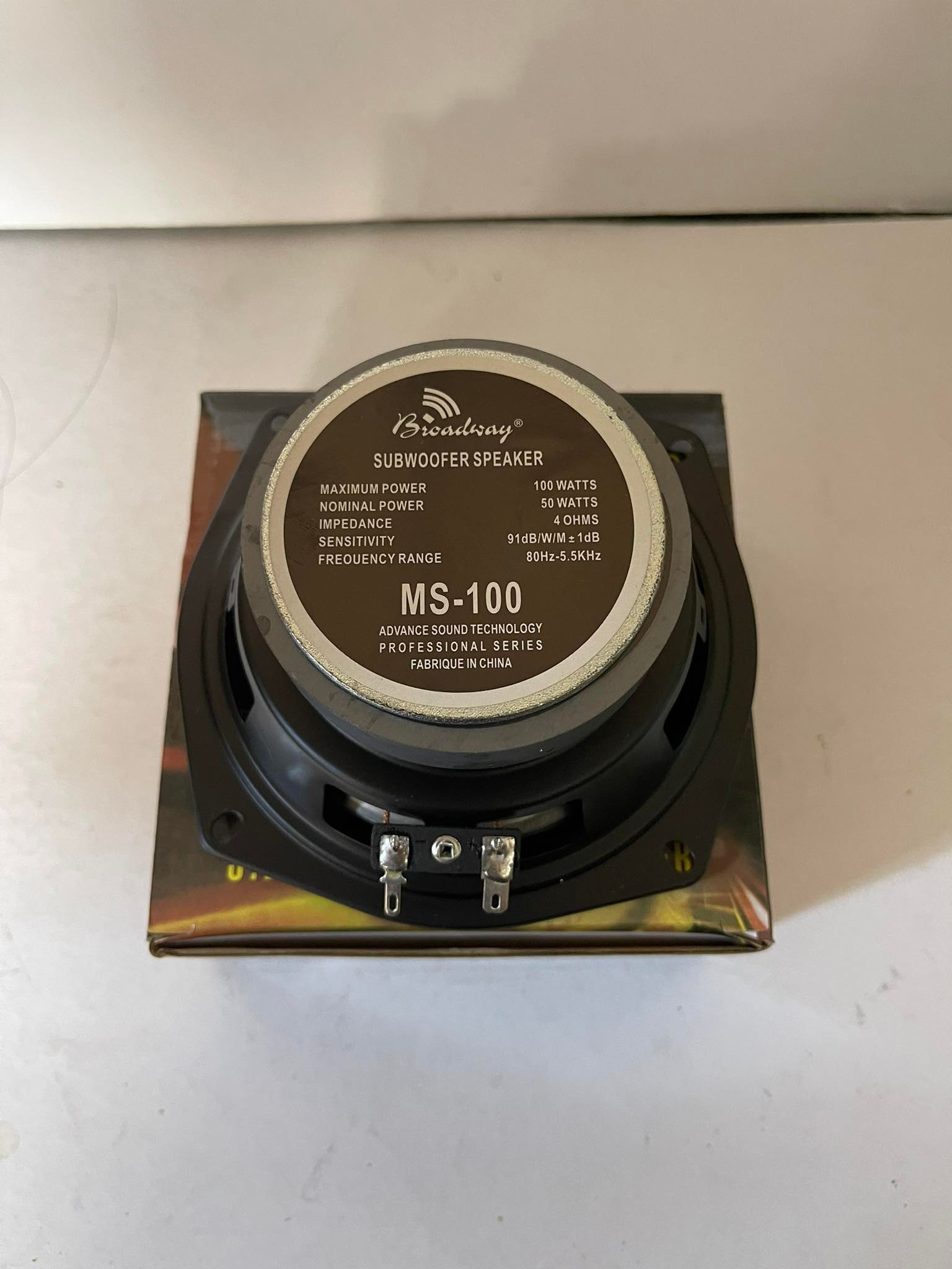 5 inches subwoofer MS100 waterproof Broadway | Lazada PH