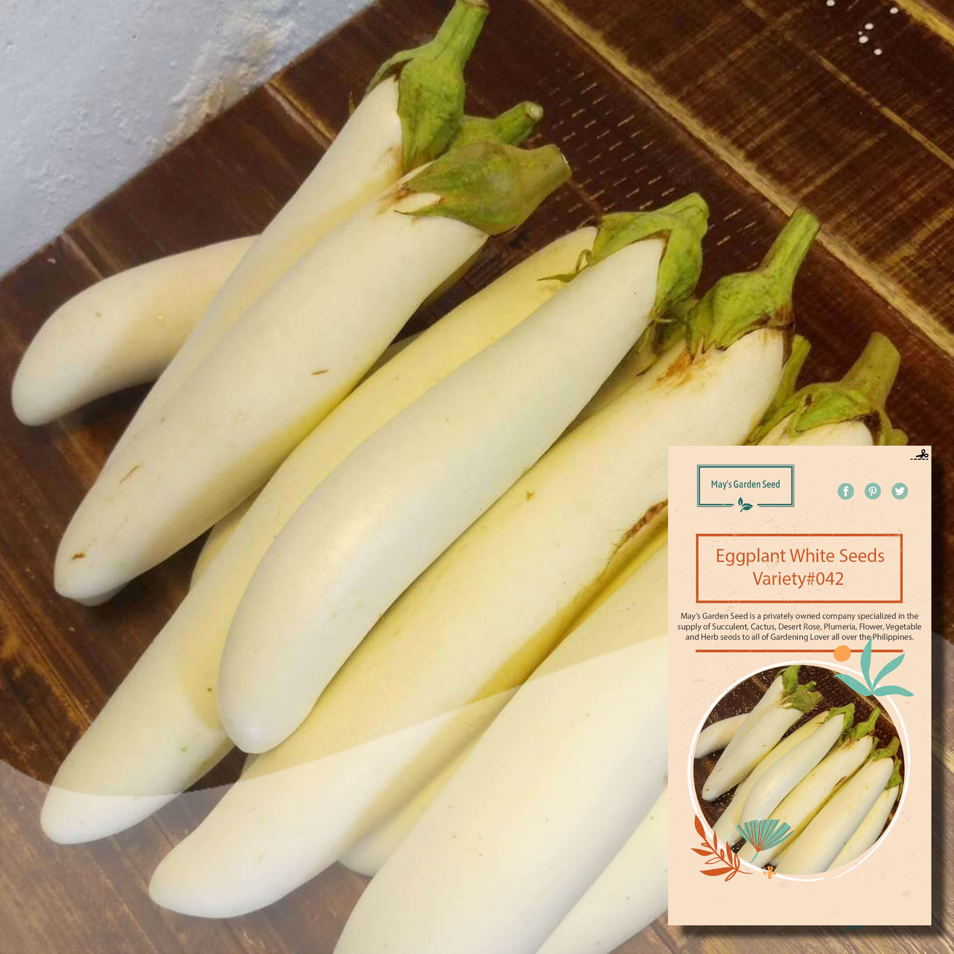 Eggplant Talong Seeds, White, Vegetable Seeds#042 | Lazada PH
