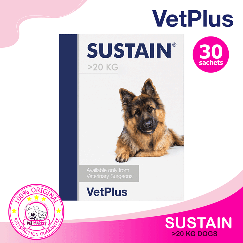 VetPlus Sustain for Intestinal Problems in Large Dogs 1 BOX (30 Sachets ...