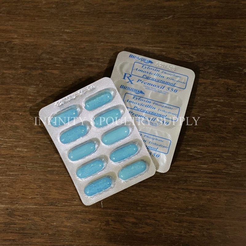 Premoxil 550 tablet (10 pcs/isang banig) | Lazada PH