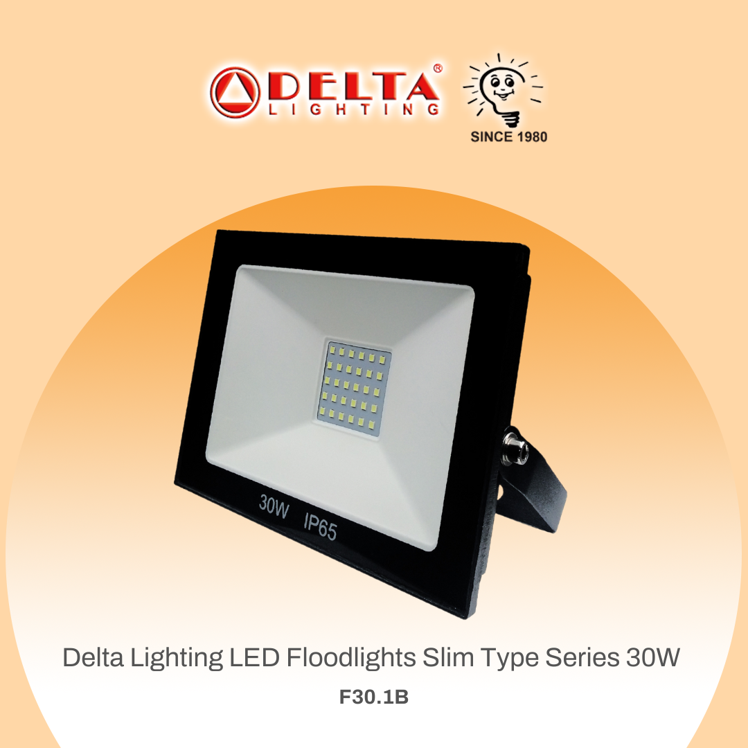 Delta Lighting LED Floodlights Slim Type Series IP65 10W, 20W, 30W, 50W ...
