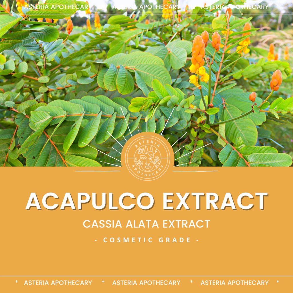 Acapulco Extract | Botanical Extract 30mL & 100mL - Asteria Apothecary ...