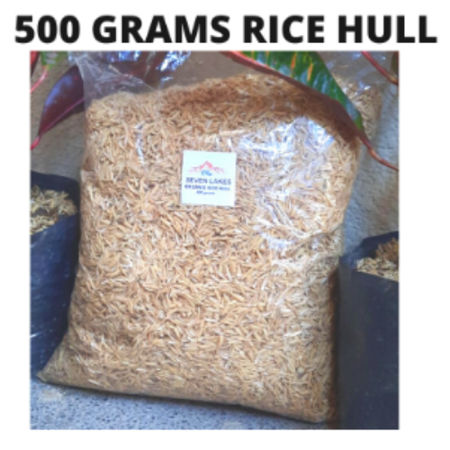 FRESH RICE HULL OR RICE HUSK / IPA NG PALAY 500GRAMS / PLANT FERTILIZER ...