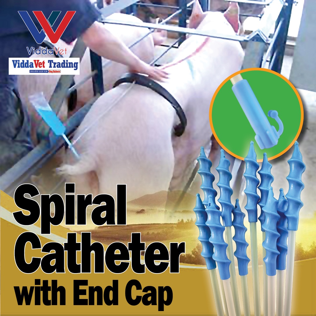 10 pcs Spiral catheter for pigs Spiral tip disposable 10 pcs ai ...