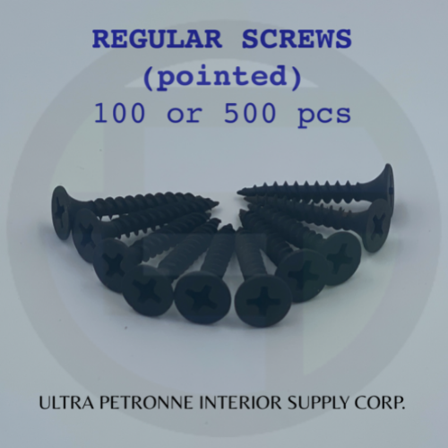 Regular Pointed Screw (Many Sizes) | Lazada PH