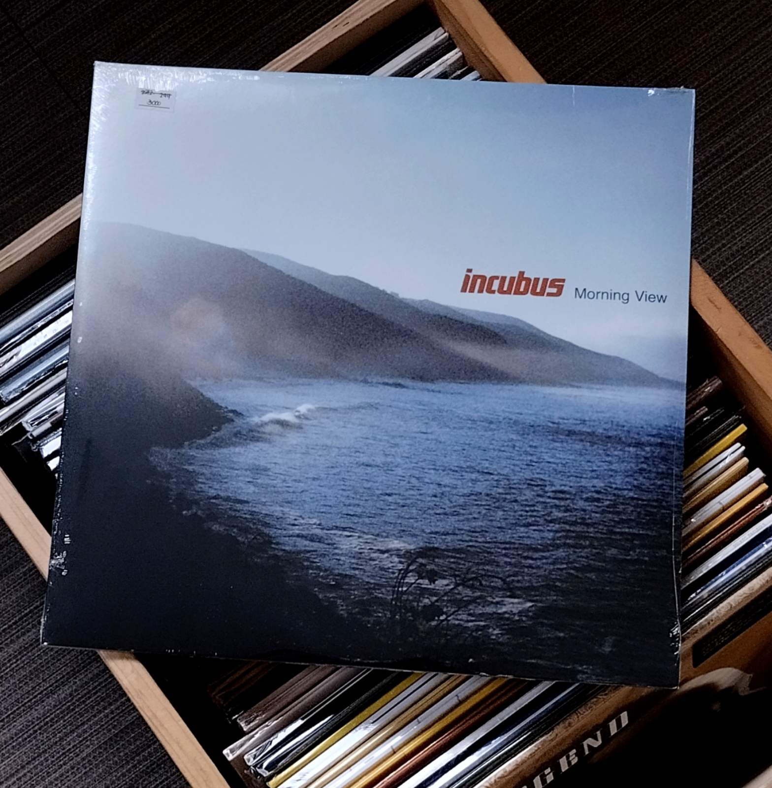 Incubus – Morning View | Vinyl LP The Grey Market Record | Lazada PH