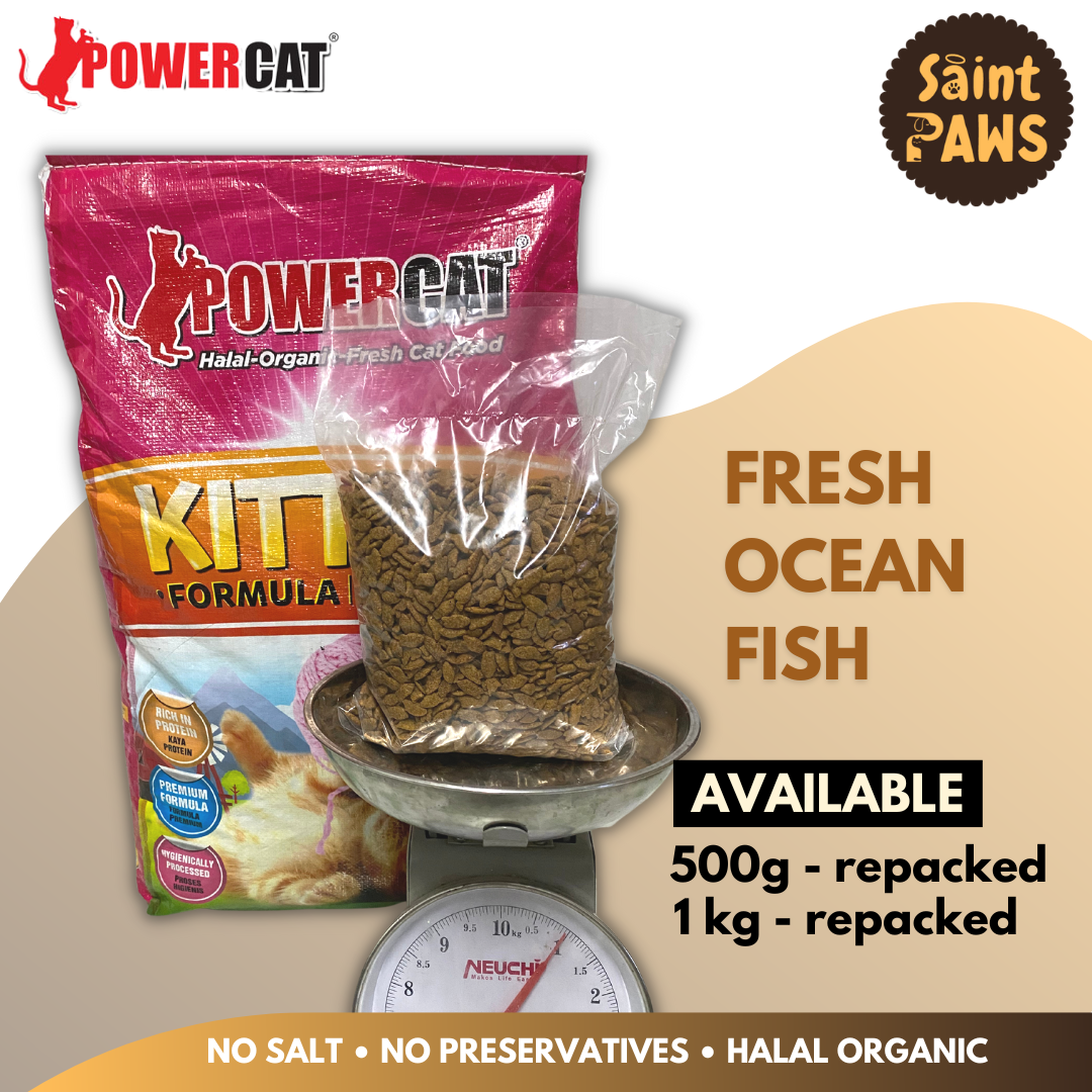 Powercat Cat and Kitten Dry Food Organic Cat Food Dry Cat Food Repacked ...