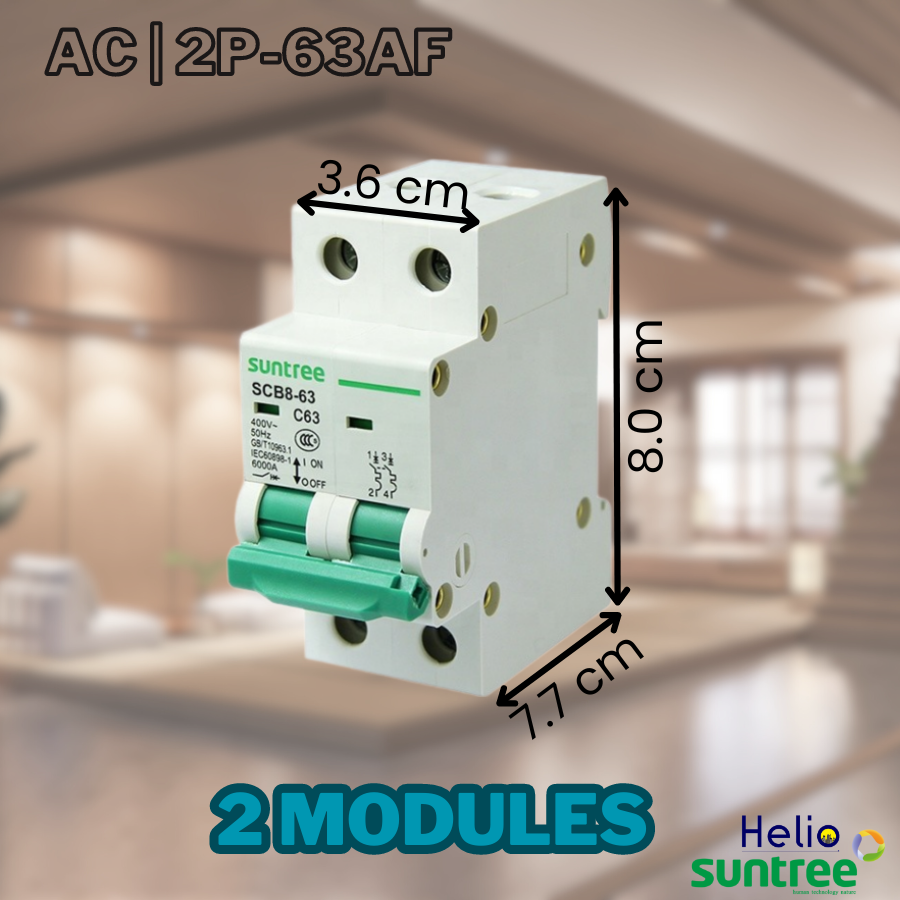 CHINT | SUNTREE | JUNXELE "2 POLE" Miniature Circuit Breaker MCB AC | Lazada PH