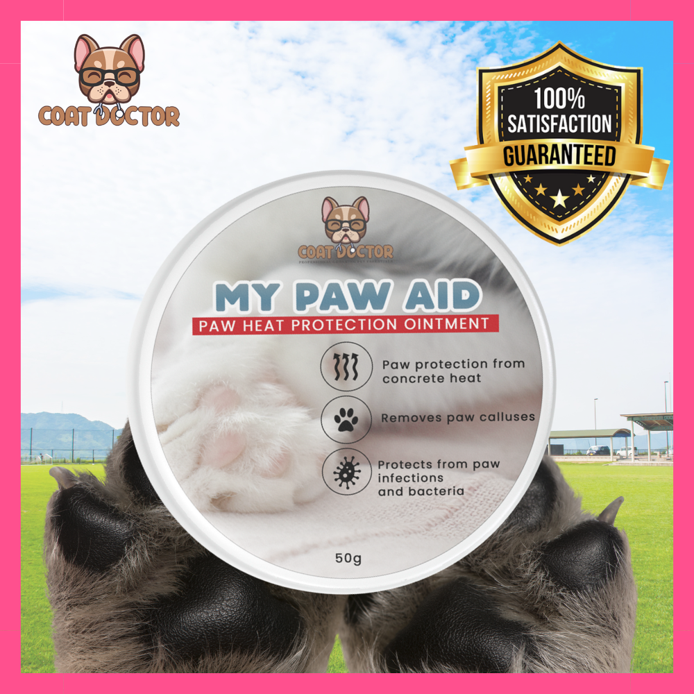 [ COAT DOCTOR ] - MY PAW AID OINTMENT / Natural Wound Care Healing ...