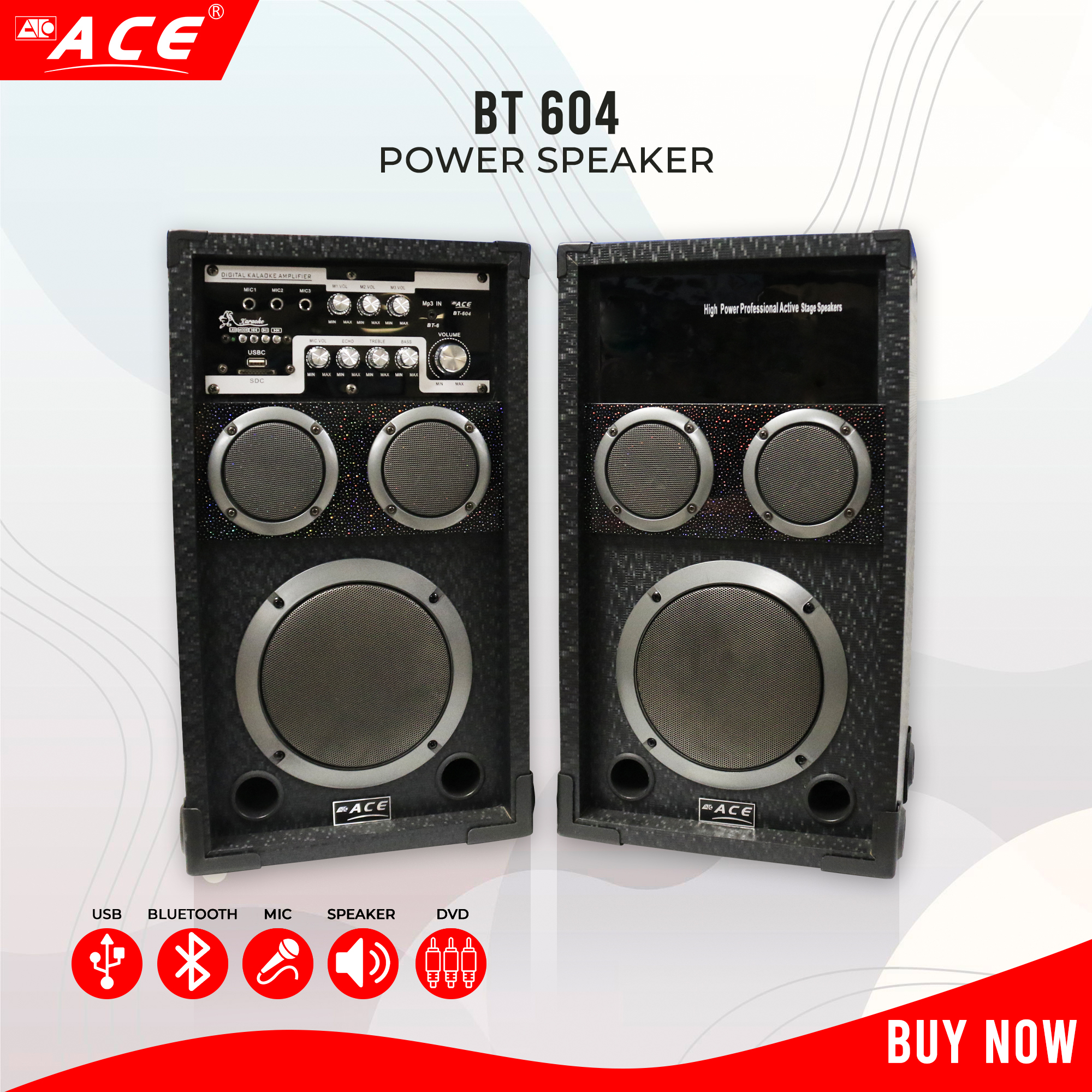 Ace BT-604 6.5" Professional Sub-woofer Speaker Amplifier | Lazada PH