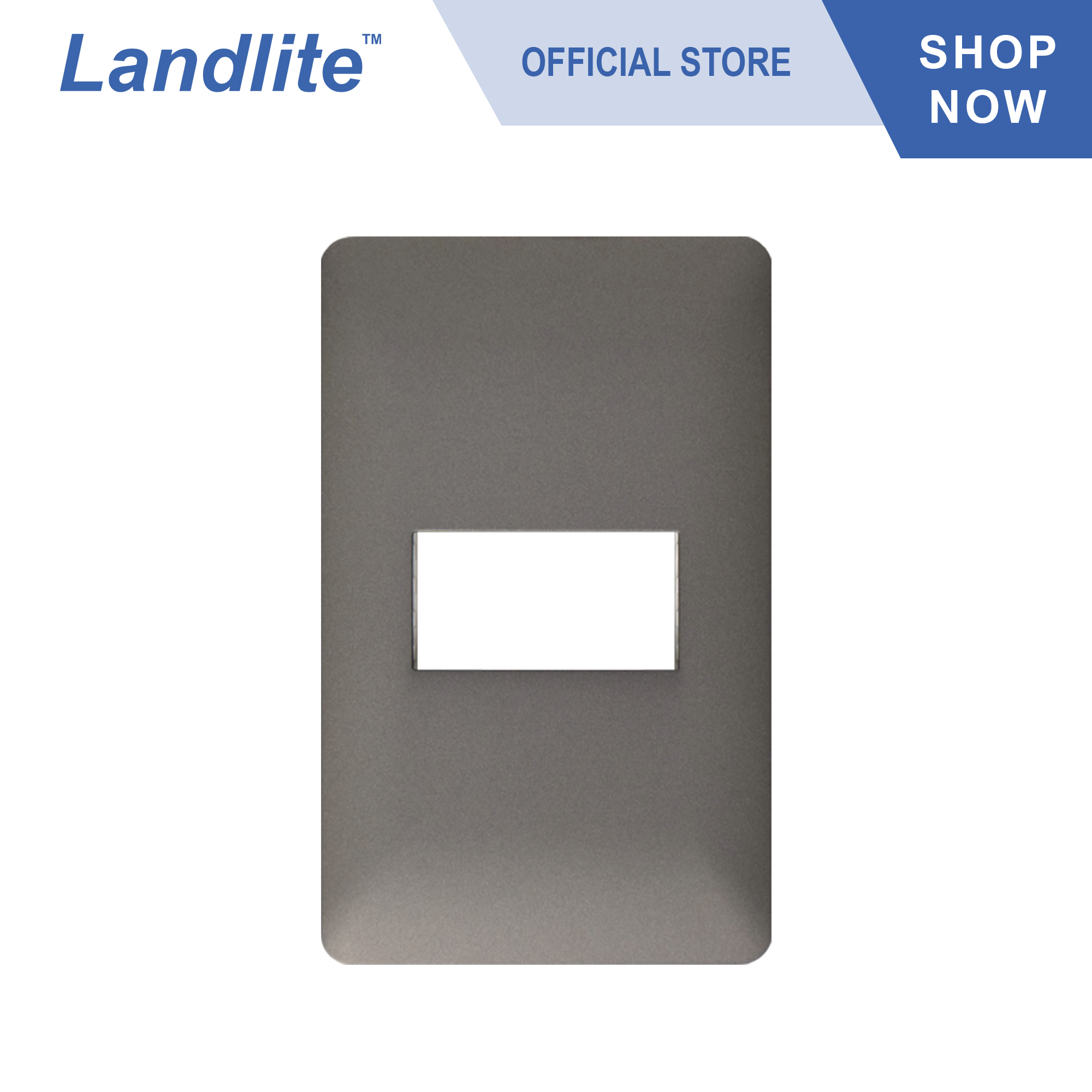Landlite Wiring Devices LWD-PL-1G-GRY | Lazada PH