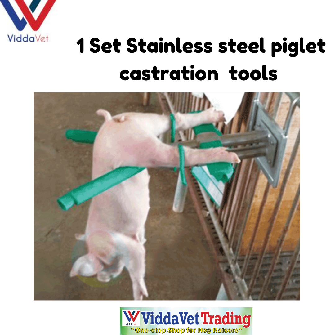 Piglet Castration holder hang type Tool Castration Frame Pig Castrator ...