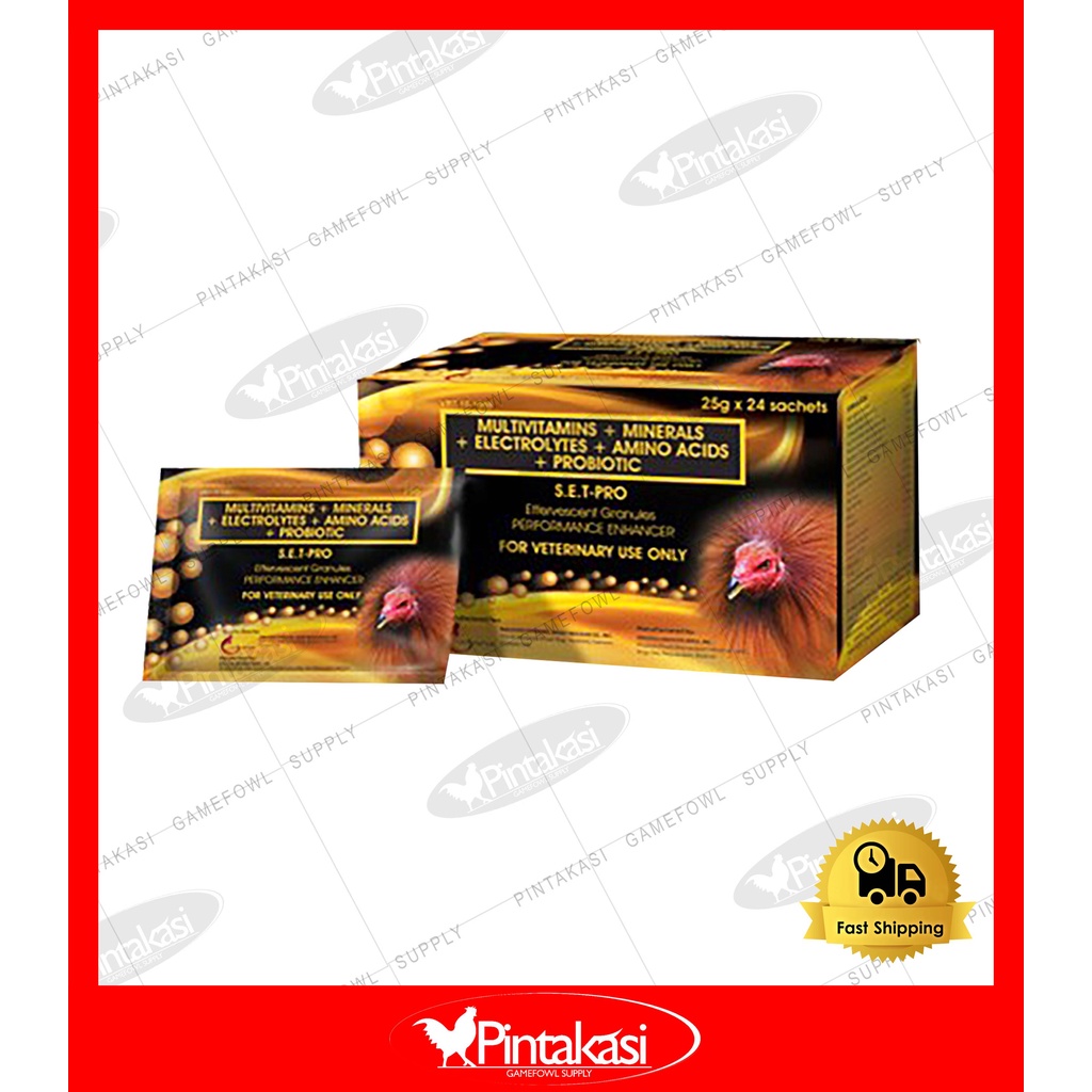 SET PRO Probiotic Multivitamins Powder 20g x 24 sachet of Mad Science ...