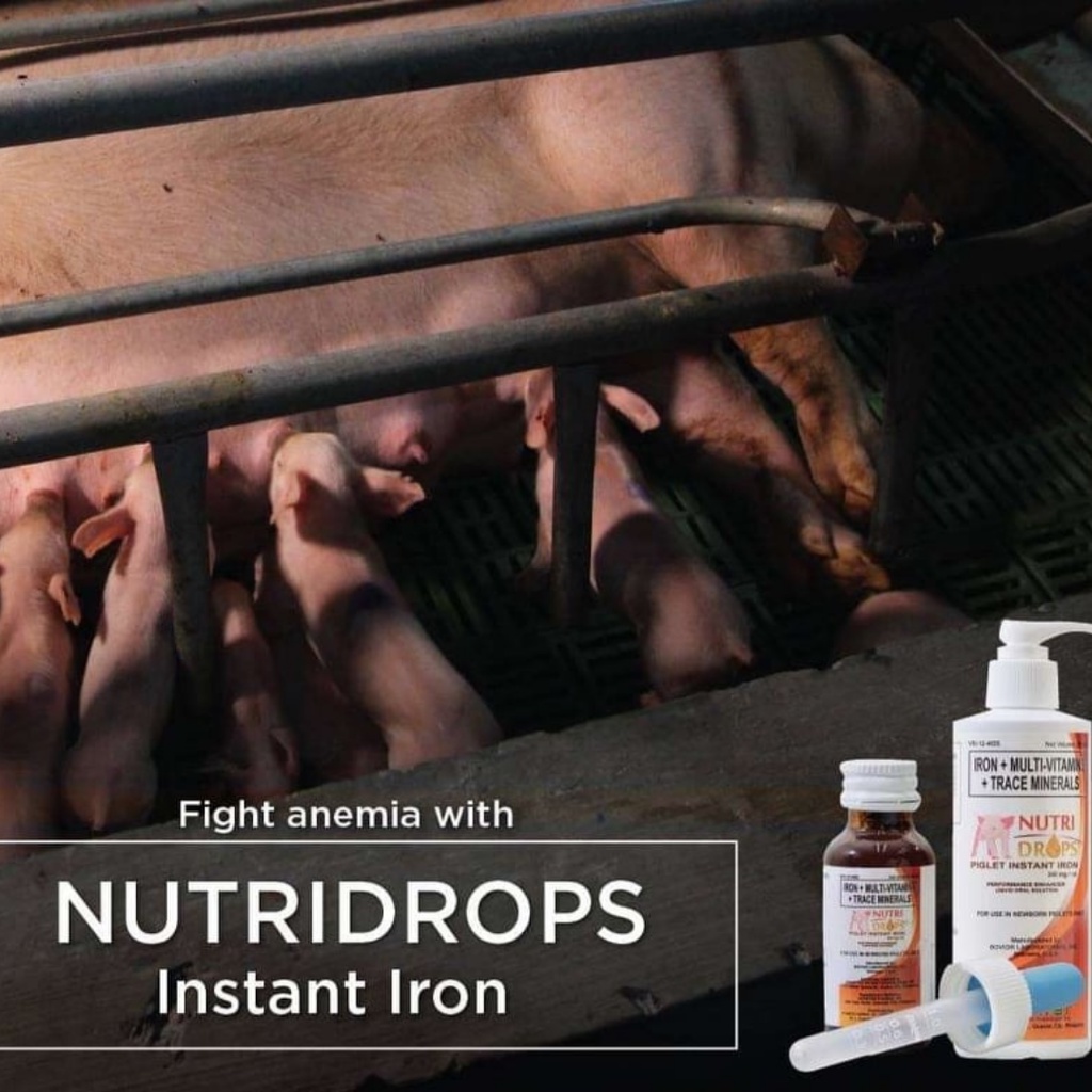 Viddavet Nutri Drops Insta Iron for piglets 120ml Nutridrops 120ml ...