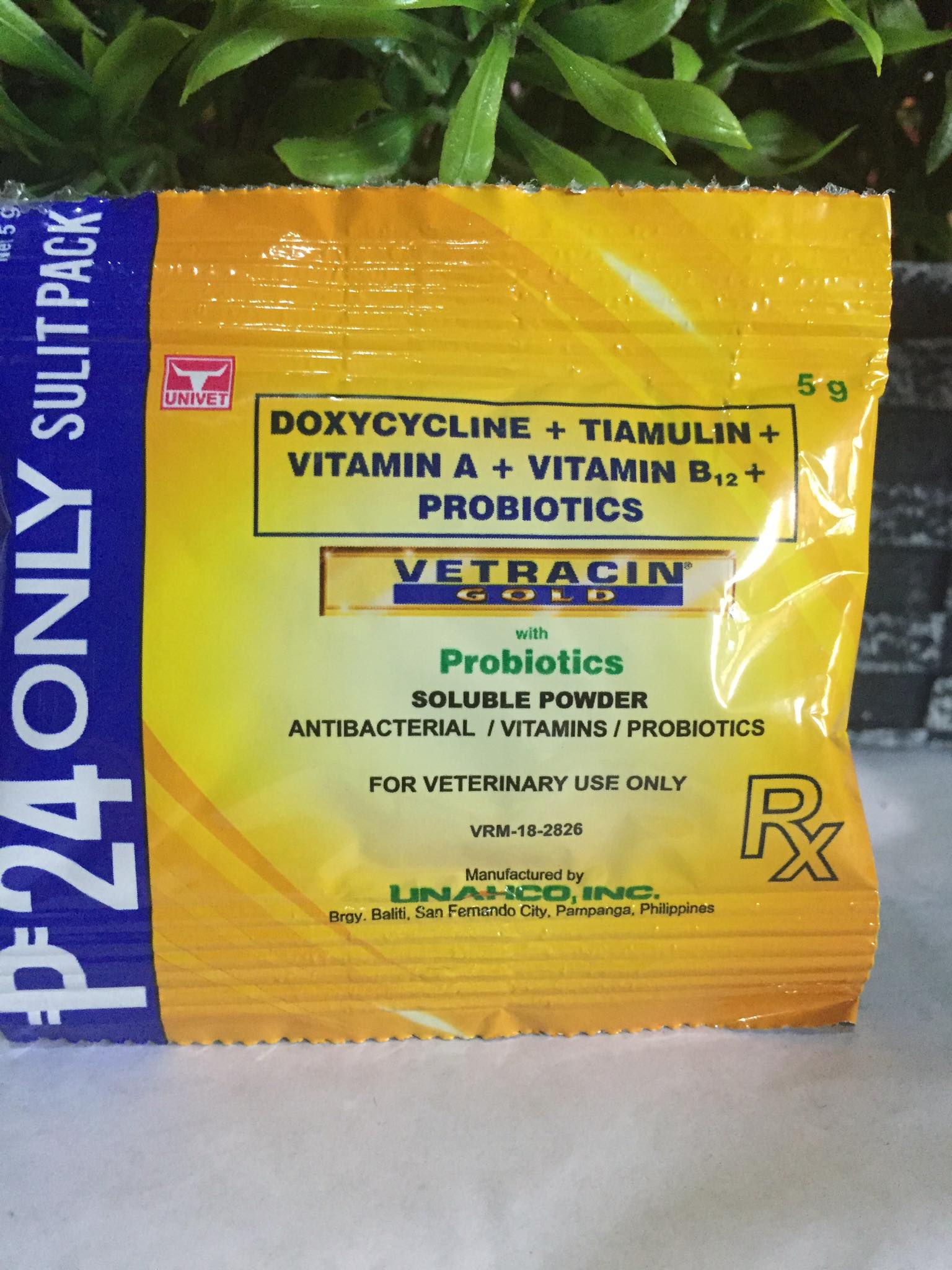 Vetracin Gold with probiotic sachet 5gms | Lazada PH