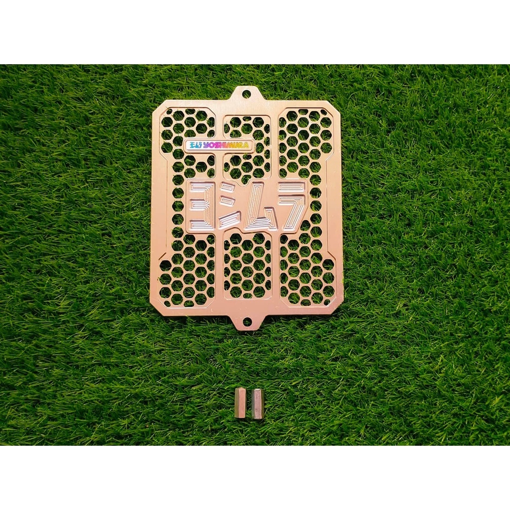 Suzuki Raider 150 FI radiator cover | Lazada PH