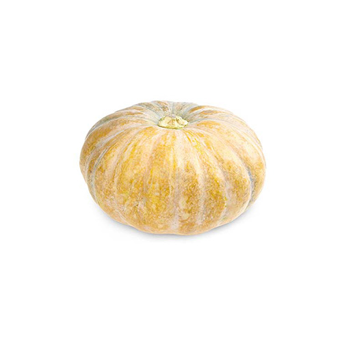 Zagana Farm Fresh Vegetables Market Squash (Kalabasa) 1kg | Lazada PH