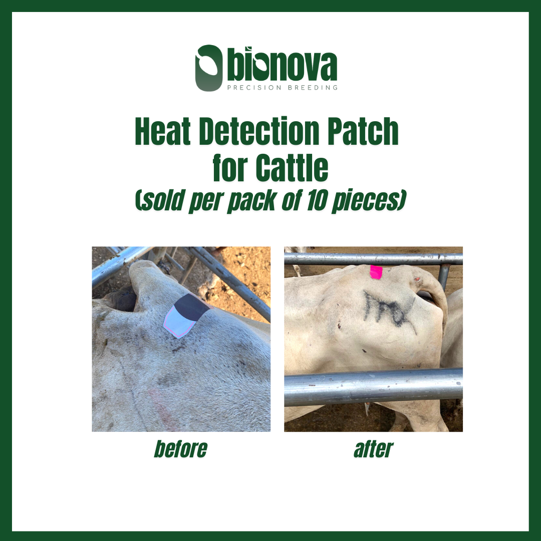 Heat Detection Patch for Cattle (Pack of 10) | Lazada PH