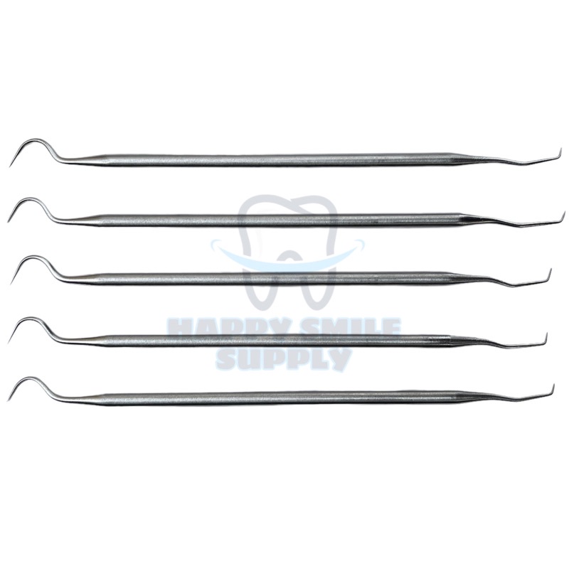 Explorer Hook | Dental Hook Stainless Double Edge | Lazada PH
