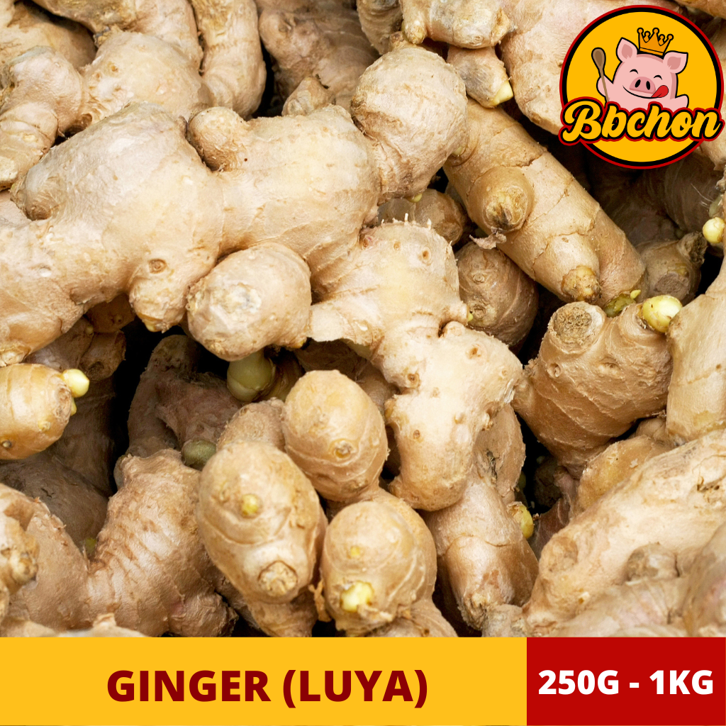 Ginger (Luya) | Lazada PH: Buy sell online Ginger with cheap price | Lazada PH