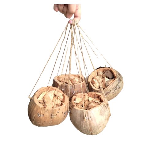 CFI coconut husk for plant (4pcs) bunot with tali\hanging husk pot ...