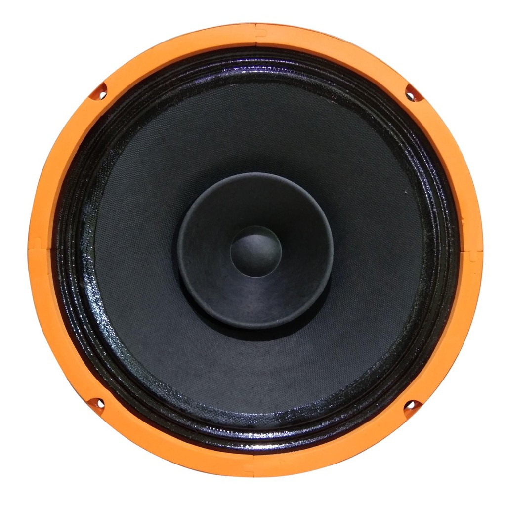 Pioneer PMPO 600W Max 10 Woofer | Lazada PH