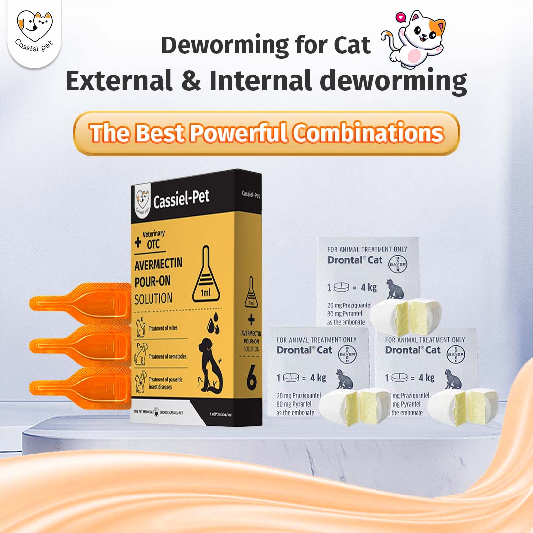 Drontal Plus 1 Tablet Tasty Dewormer Tablets for Dogs Cats | Lazada PH