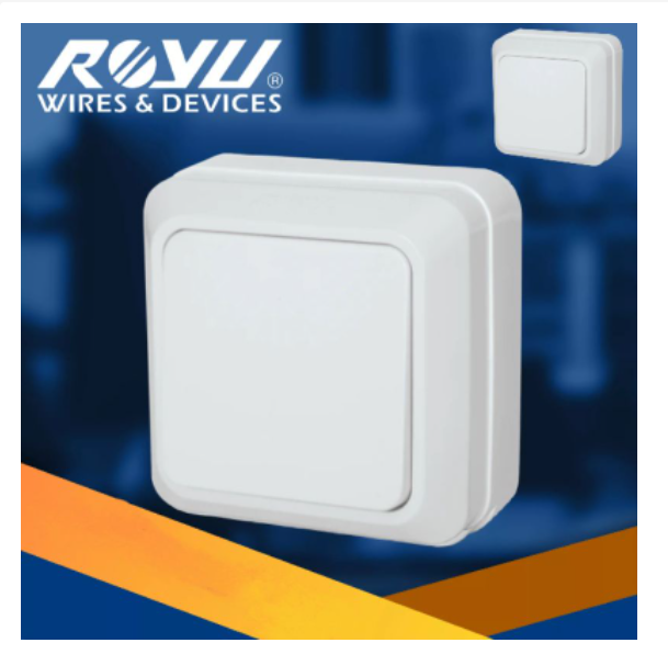 Royu Rectangular Snap Switch Surface Mounted | Lazada PH