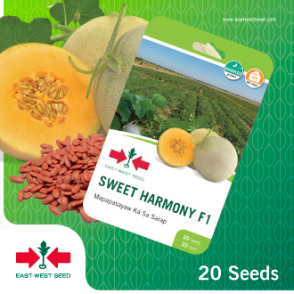 Eastwest Seed [SWEET HARMONY F1] Melon Go Grow Pack | Lazada PH