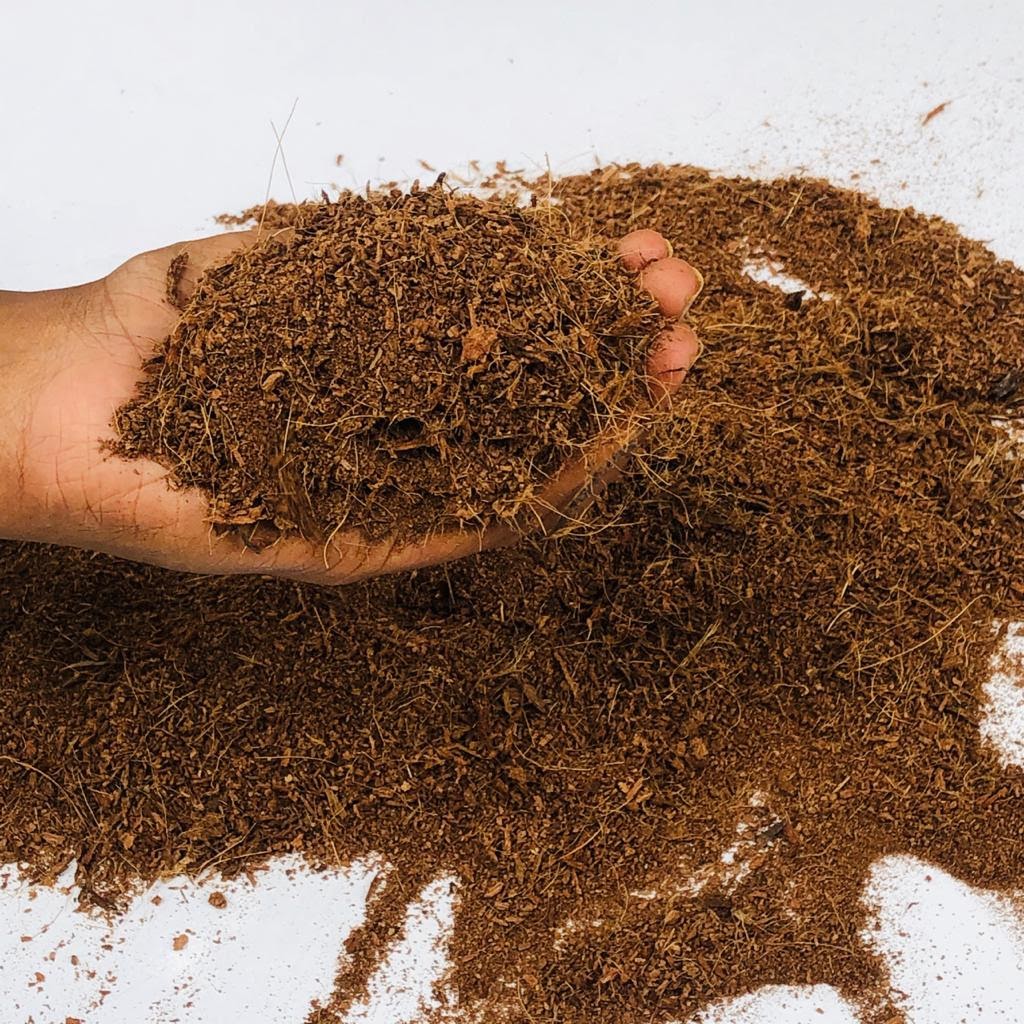 BAGSAK PRESYO 10.10 SALE | 2KG Coco Peat Highly Recommend | Tarantula ...