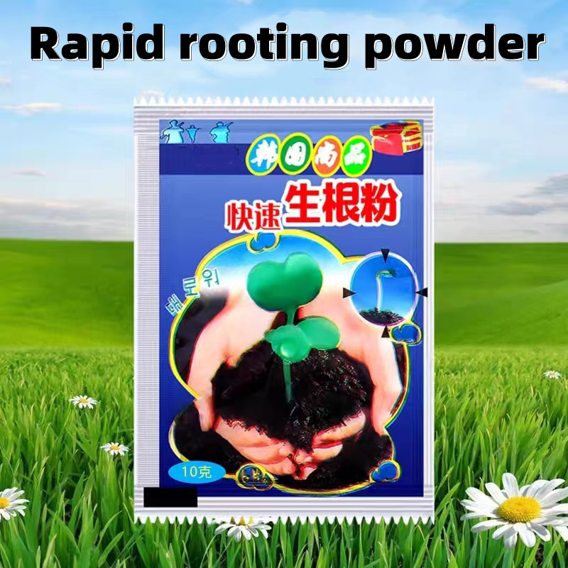 Wax Gourd Seed - 冬瓜种子 Fresh Wintermelon Seeds Easy To Grow In Malaysia ...