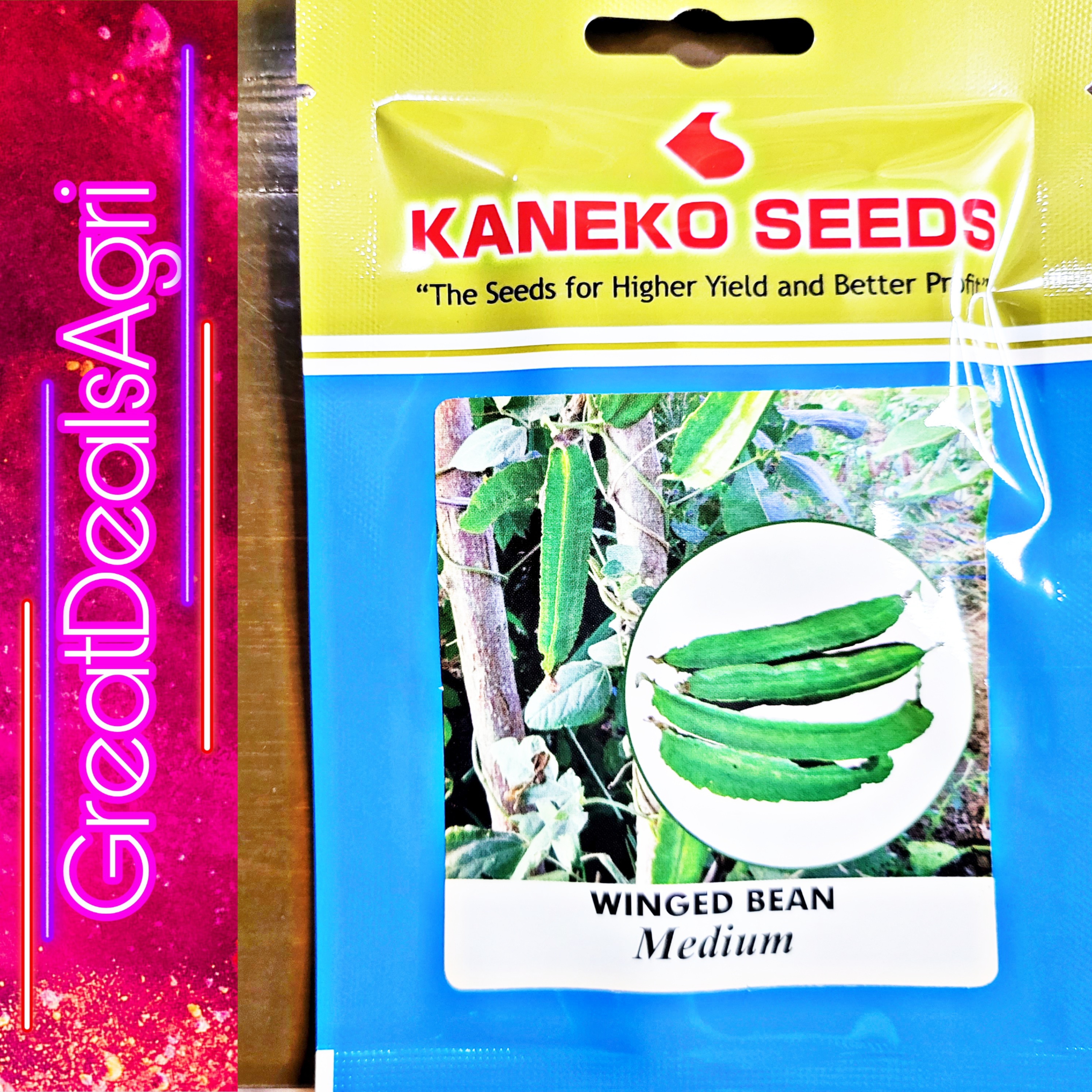 MEDIUM SIZE OPV WINGED BEAN SEEDS / SIGARILYAS SEEDS (27 SEEDS) KANEKO ...