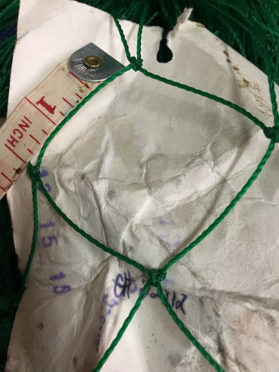 .2 inches x 24 ft - JM Ranging Net /Chicken Net / Poly Net / Poultry ...