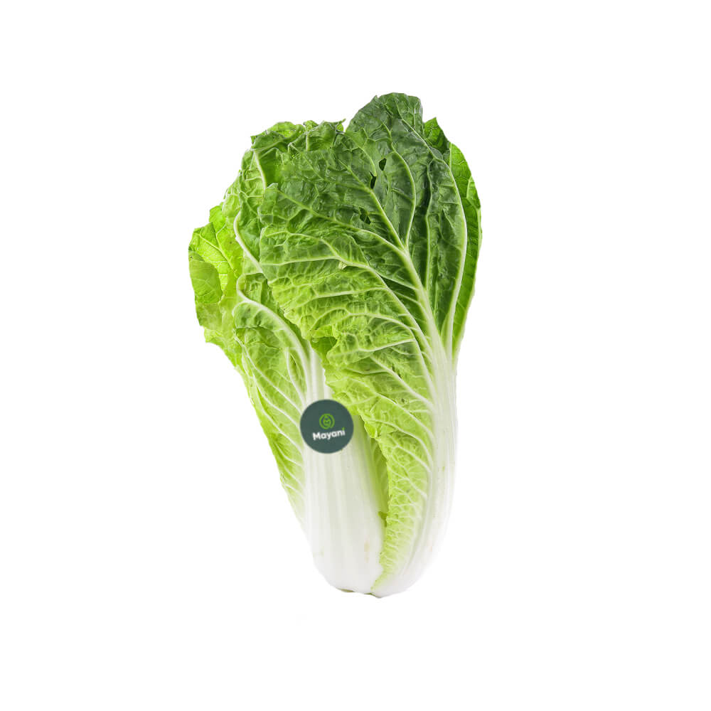 Pechay Baguio "Wombok" (500-700g) by Mayani | Lazada PH