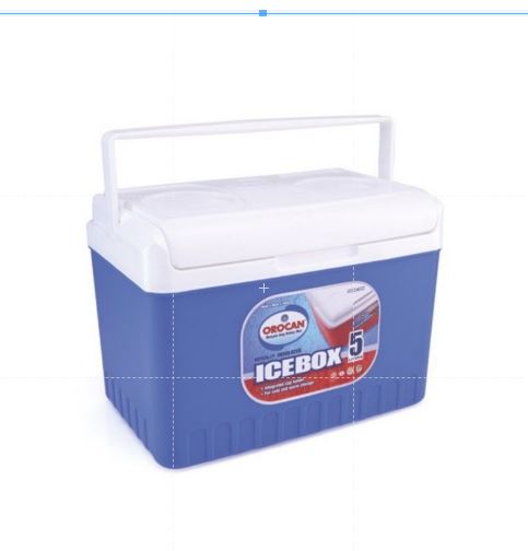 Orocan Ice Box Ice Chest 5 Liters Small Ice Box | Lazada PH