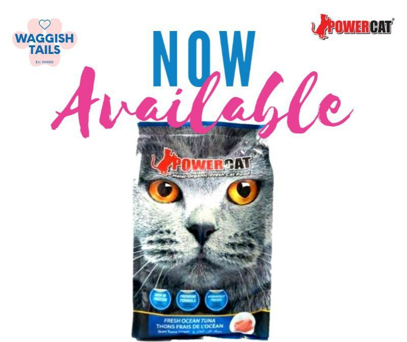 Power Cat for Adult/Kitten (1kg repacked) | Lazada PH