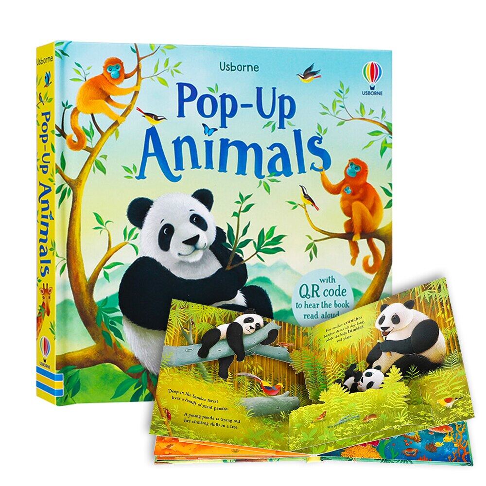 หนังสือป๊อปอัพ สามมิติ Usborne หนังสือ POP UP Book Board Book Fairy ...