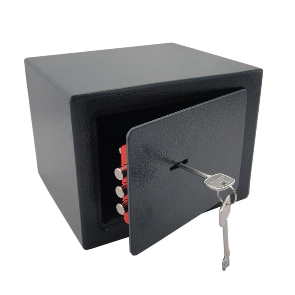 iSAFE iSF-8K Safe Personal Key Safety Vault | Lazada PH