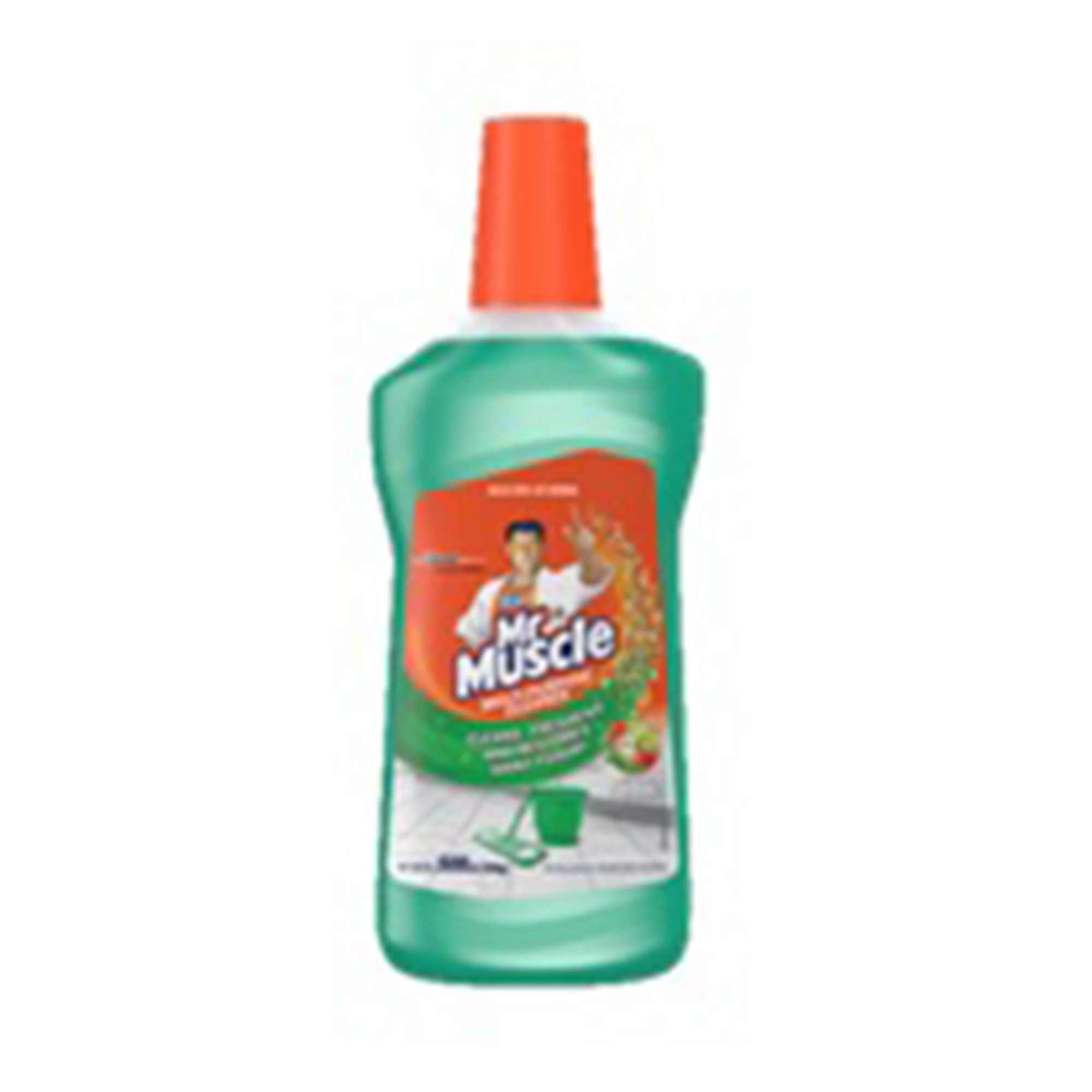 Mr. Muscle All Purpose Cleaner 500 ml - Morning Freshness | Lazada PH