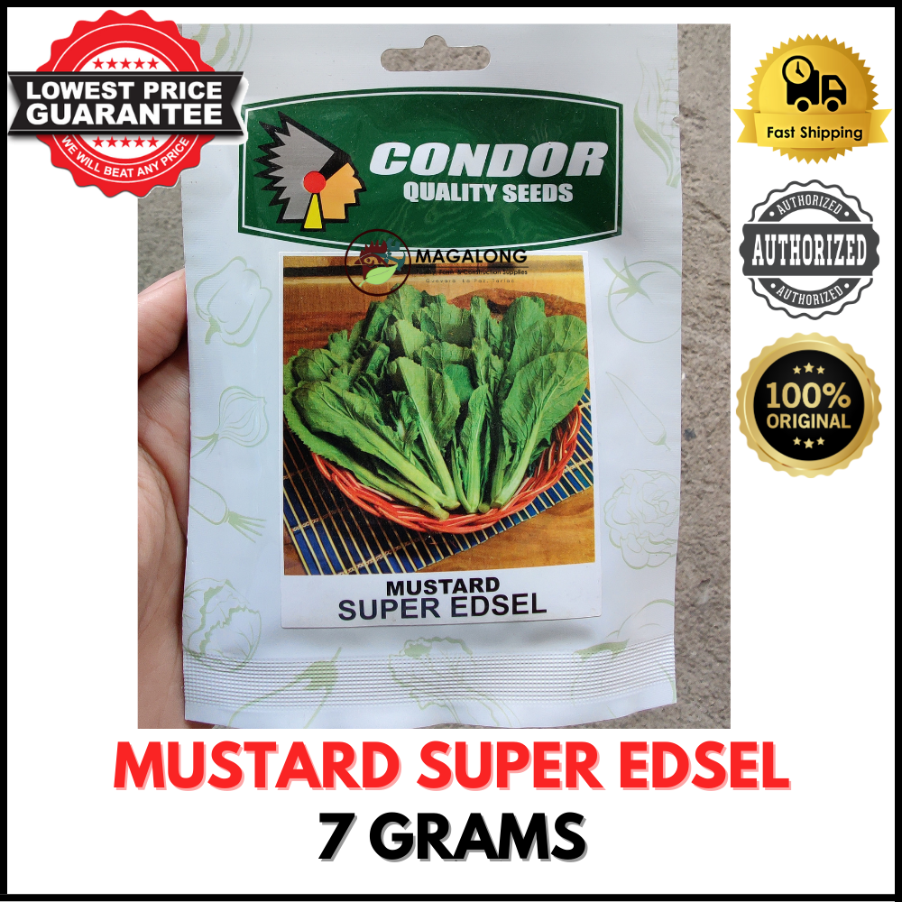 CONDOR SEEDS - MUSTARD SEEDS - SUPER EDSEL 7 Grams | Lazada PH