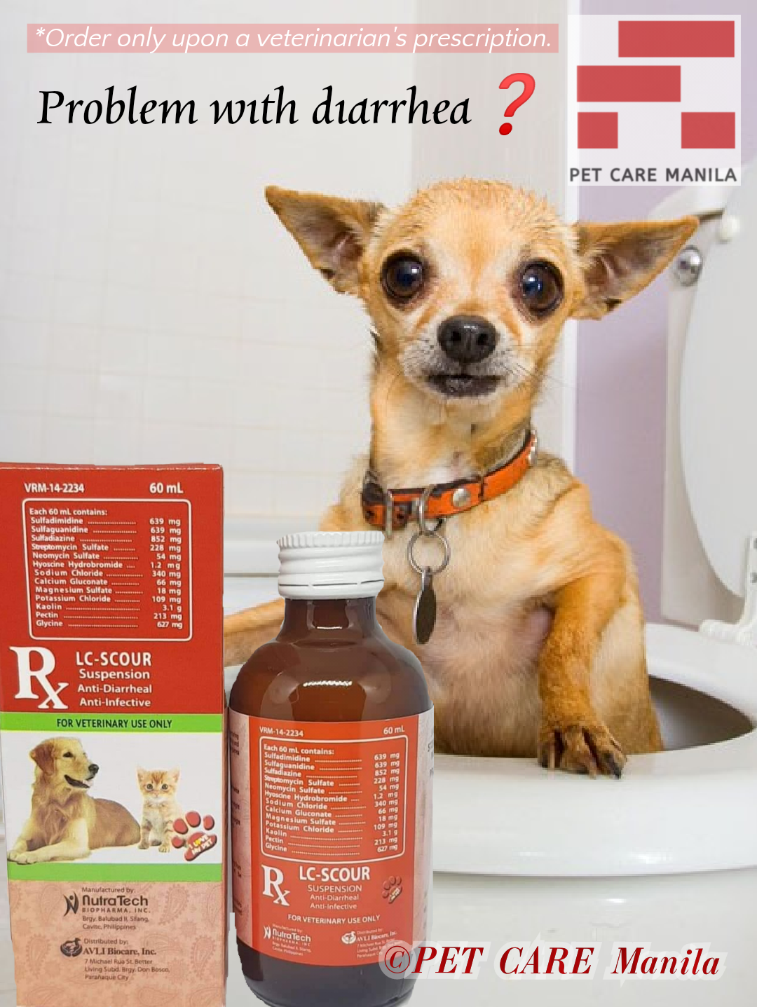 LC-SCOUR Anti-Diarrheal Anti-Infective 60ml Suspension (LC Scour ...