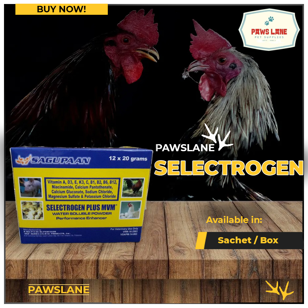 Sagupaan Selectrogen Plus MVM 20g Sachet | Lazada PH