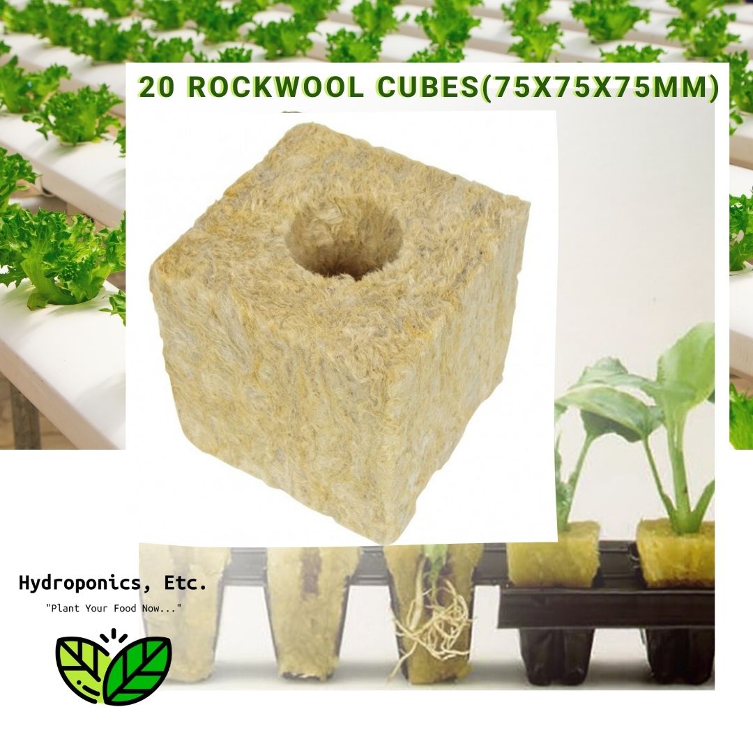 Hydroponics Rockwool Cubes for Soilless Planting (20 Cubes ...