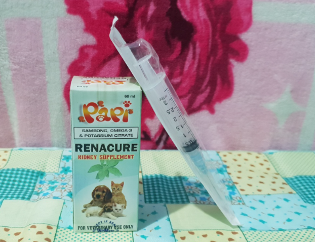 Papi Renacure Kidney Supplement for Dogs and Cats (60ml) with 1 FREE ...